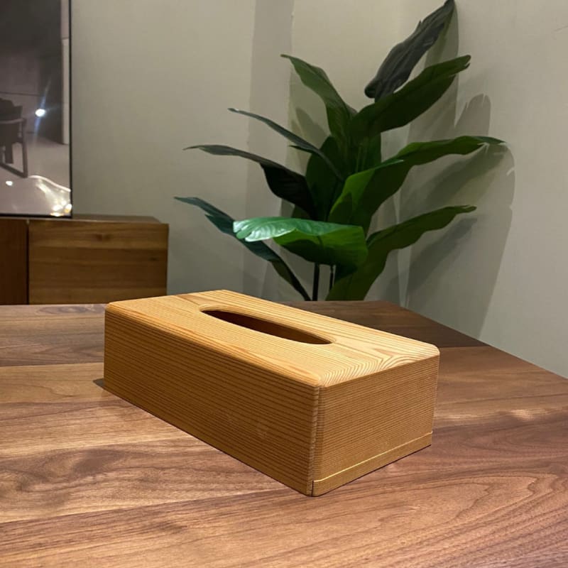 SLAB TISSUE BOX (21) - BIG